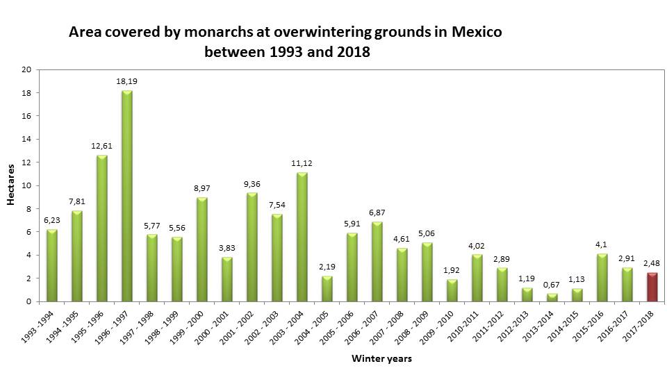 Monarch population drops by 15% | Mission Monarque